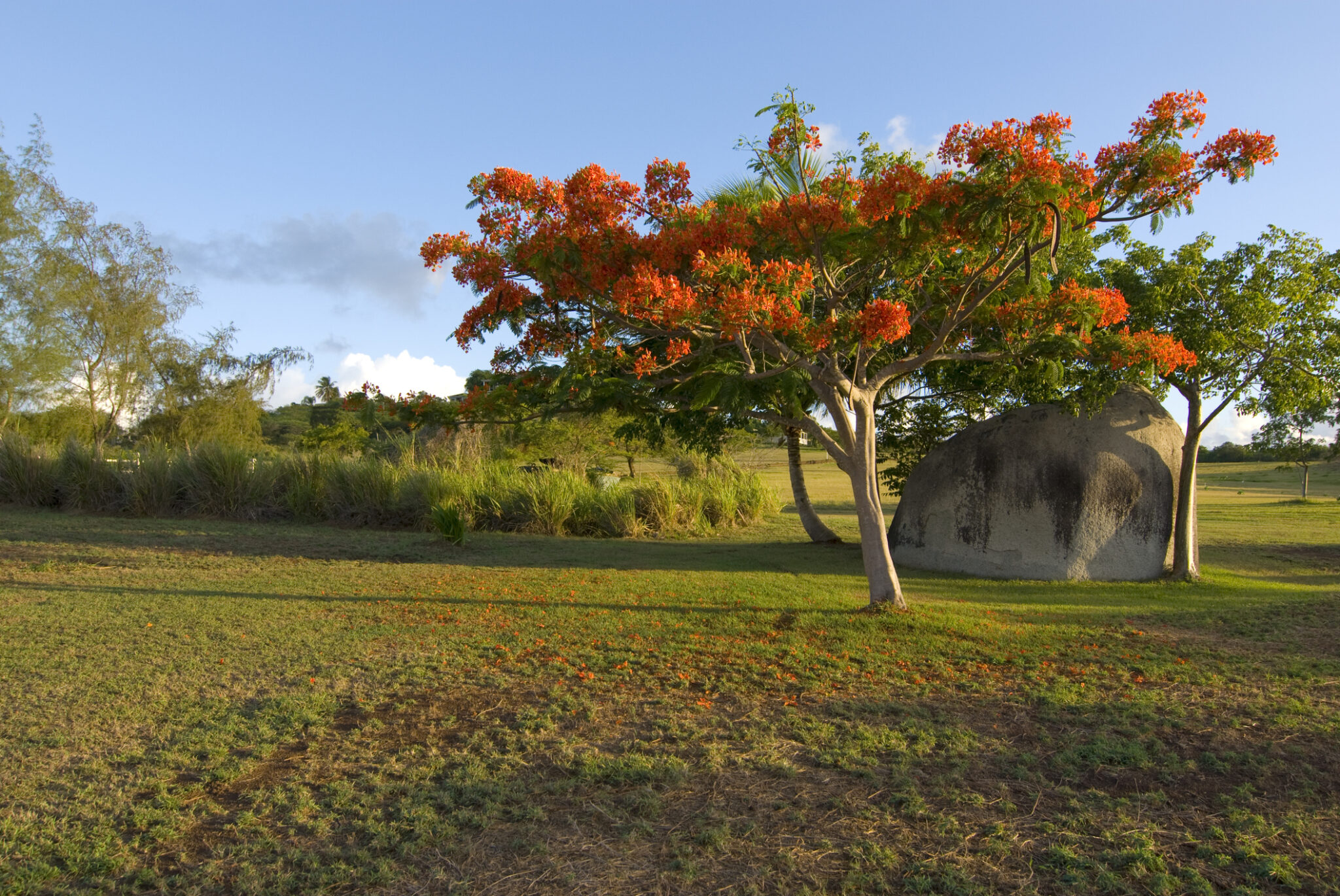 Descubre Moca, capital del mundillo, en Puerto Rico