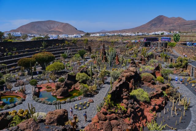 El imponente Jardín de Cactus de César Manrique, en Lanzarote, cumple ...